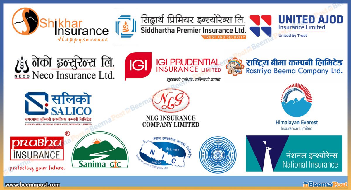 » निर्जीवन बीमा